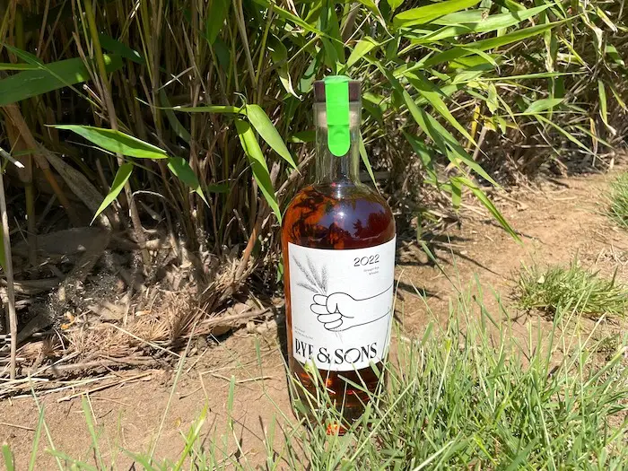 Rye Whiskey Reviews | Expert Tasting Notes | The Whiskey Wash